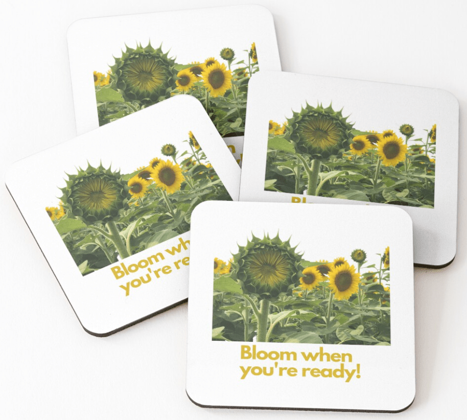 Blog – Jennifer Geigel